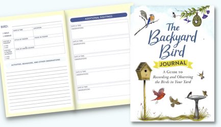 Expert Birder Helps Beginners With Backyard Bird Habitats - Hobby Farms
