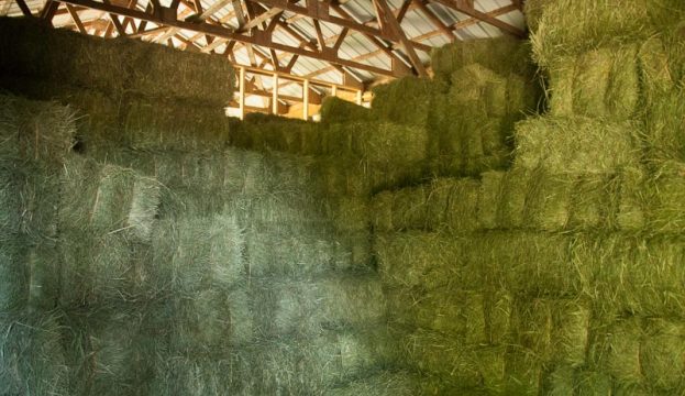 stacked-square-hay-bales - Hobby Farms
